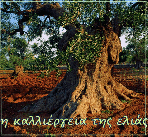 Λίπανση ελιάς | ΒΑΣΙΛΑΚΑΚΗΣ ΑΘΑΝΑΣΙΟΣ - Γεωπόνος ΑΠΘ